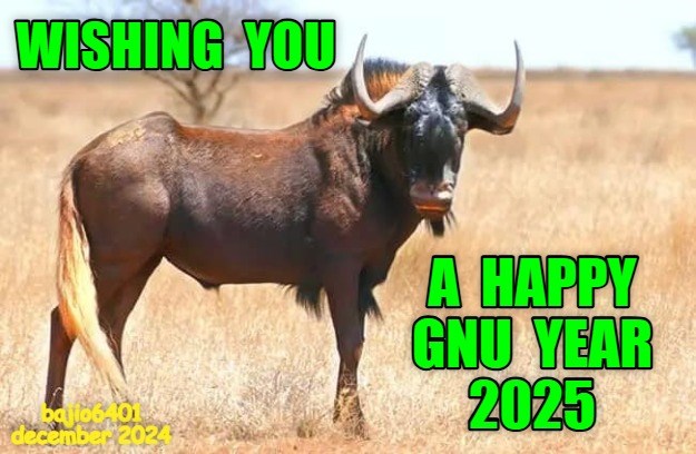 HAPPY GNU YEAR - Animal Comedy - Animal Comedy, funny animals, animal gifs