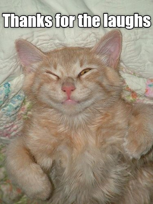 Woohoo!!! Lolcats HP congrats!!! - Lolcats - lol | cat memes | funny ...