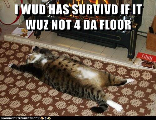I WUD HAS SURVIVD IF IT WUZ NOT 4 DA FLOOR - Lolcats - lol | cat memes ...