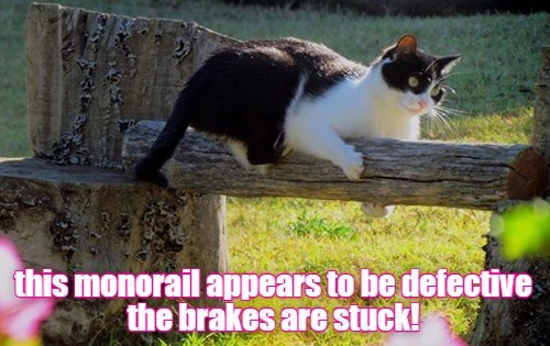 defective monorail - Lolcats - lol | cat memes | funny cats | funny cat ...