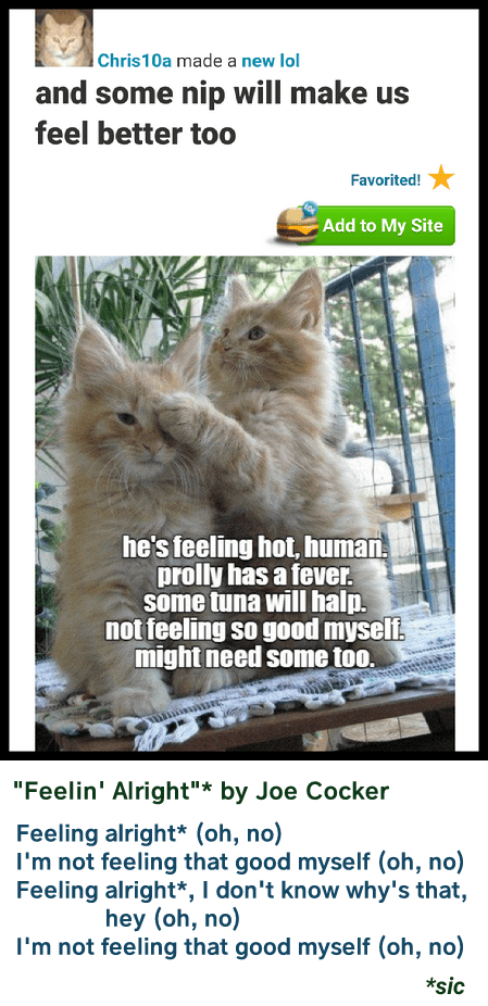 "Feelin' Alright" [sic] by Joe Cocker - Lolcats - lol | cat memes ...