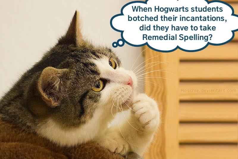 "It's not 'Hocus POWcus,' it's 'Hocus POcus'" - Lolcats - lol | cat ...