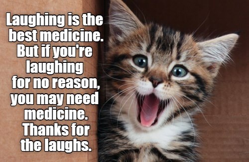 Woohoo!!! Lolcats HP congrats!!! - Lolcats - lol | cat memes | funny ...