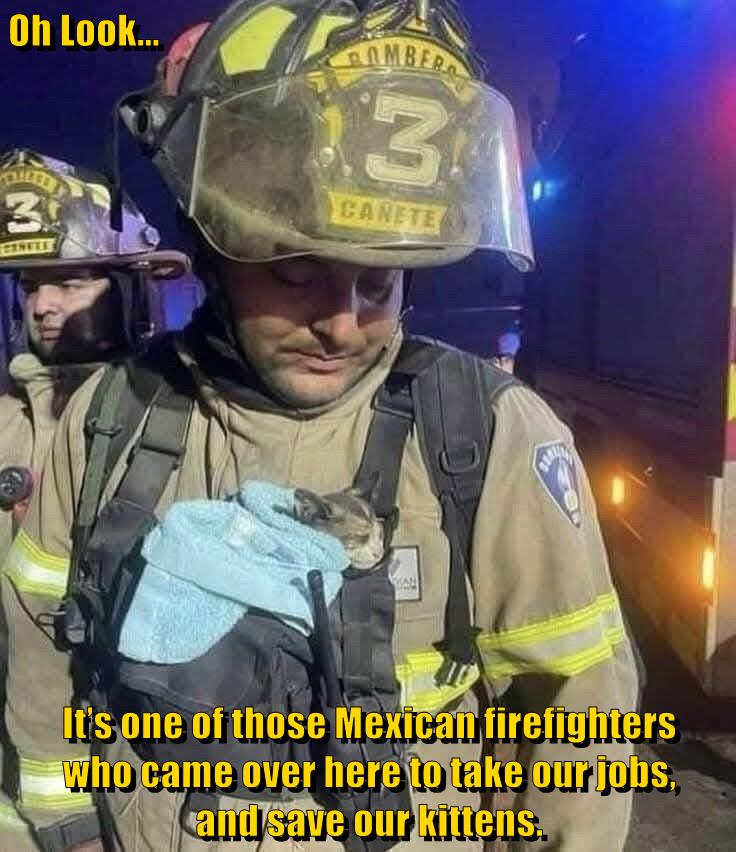 Oh Look... - Lolcats - lol | cat memes | funny cats | funny cat ...