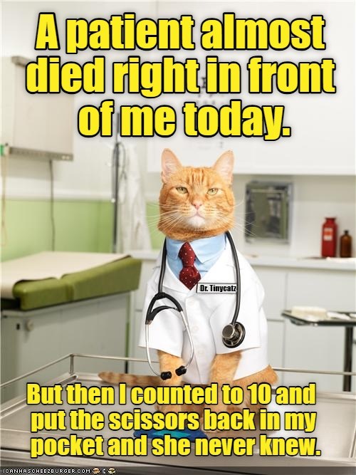The bedside manner of Dr. Tinycatz. - Lolcats - lol | cat memes | funny ...
