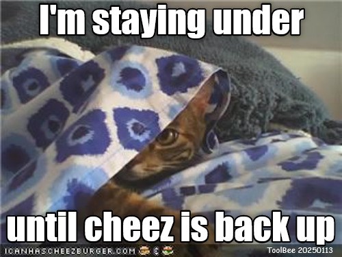 He Can Has Cheez? - Lolcats - lol | cat memes | funny cats | funny cat ...