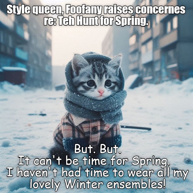 Winter is nat ALL bad! KKPS 2025 - Lolcats - lol | cat memes | funny ...