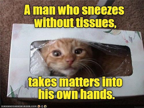 Famous proverb. - Lolcats - lol | cat memes | funny cats | funny cat ...