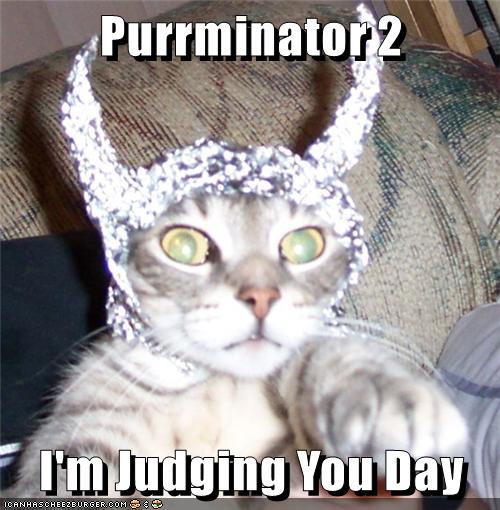 Purrminator 2 I'm Judging You Day - Lolcats - lol | cat memes | funny ...