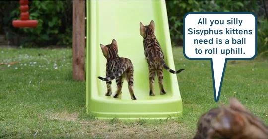 Legendary FAIL - Lolcats - lol | cat memes | funny cats | funny cat ...