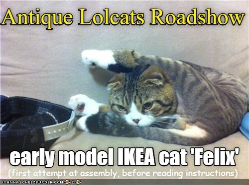 Antique Lolcats Roadshow - Lolcats - lol | cat memes | funny cats ...