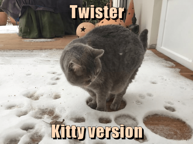 Weather appropriate, not cat appropriate. - Lolcats - lol | cat memes ...