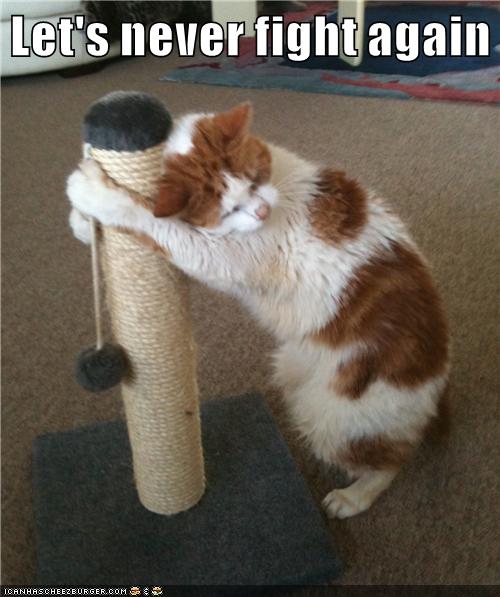 Let's never fight again - Lolcats - lol | cat memes | funny cats | funny cat pictures with words ...