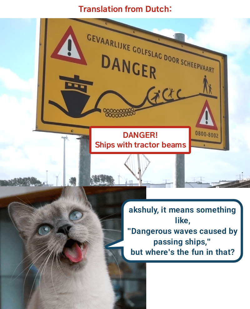 Creative license - Lolcats - lol | cat memes | funny cats | funny cat ...