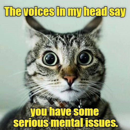 They are always right. - Lolcats - lol | cat memes | funny cats | funny ...