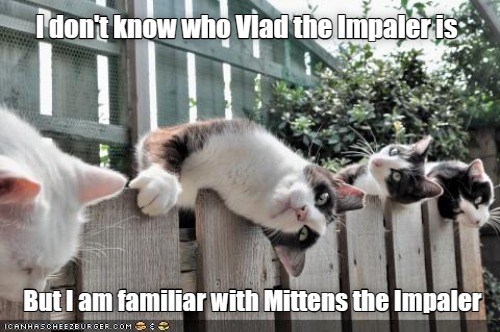 Mittens the Impaler, AKA Count Catula - Lolcats - lol | cat memes ...