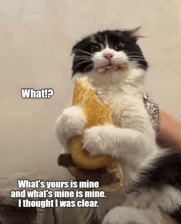 It's All Mine - Lolcats - lol | cat memes | funny cats | funny cat ...