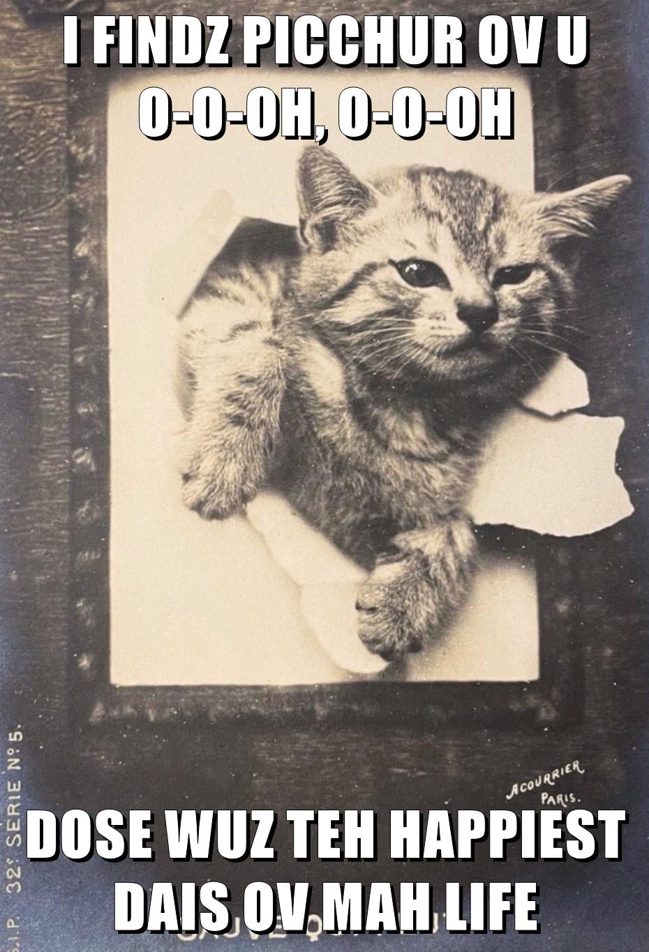 I FINDZ PICCHUR OV U - Lolcats - lol | cat memes | funny cats | funny ...