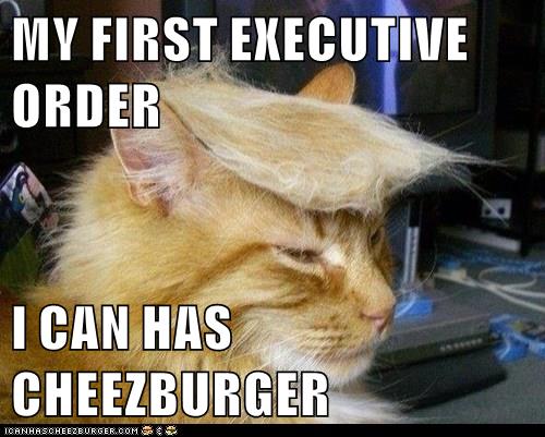 MY FIRST EXECUTIVE ORDER I CAN HAS CHEEZBURGER - Lolcats - lol | cat ...