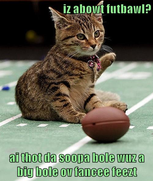 big bole ov fancee feezt - Lolcats - lol | cat memes | funny cats ...