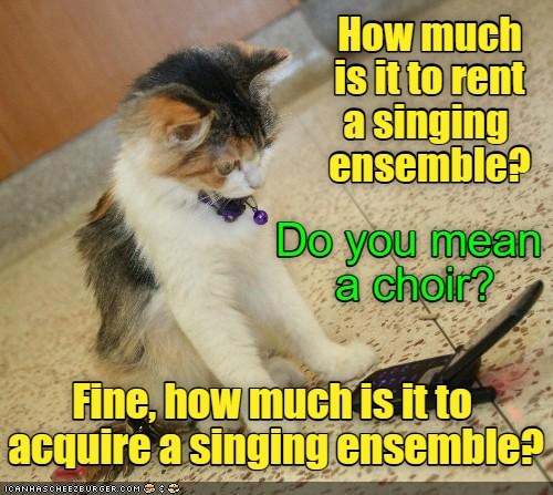 Lost in translation. - Lolcats - lol | cat memes | funny cats | funny ...