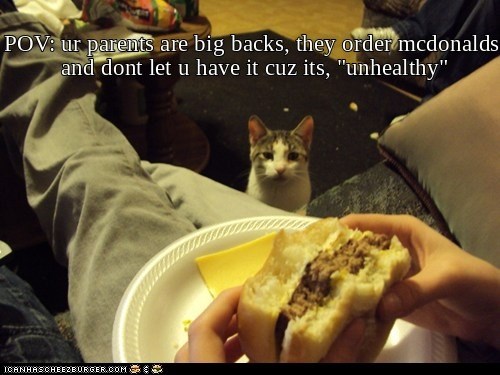 Cheezburger? - Lolcats - lol | cat memes | funny cats | funny cat ...