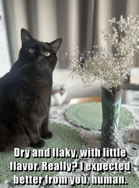 Dry and flaky, with little flavor. - Lolcats - lol | cat memes | funny ...