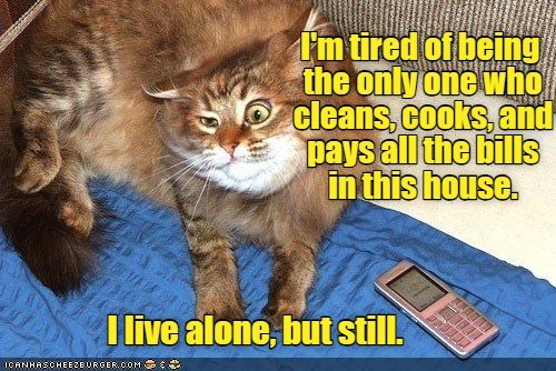 If I got married, I'd still get stuck with doing it. - Lolcats - lol ...