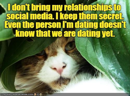"Fatal Attraction" is our favorite movie. - Lolcats - lol | cat memes ...