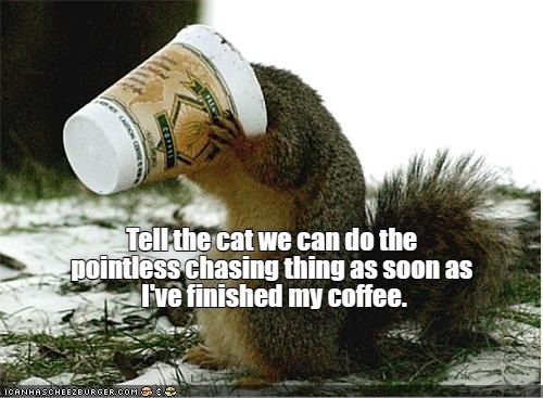 Stick to the schedule - Lolcats - lol | cat memes | funny cats | funny ...