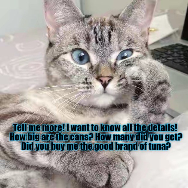 I want to know all the details! - Lolcats - lol | cat memes | funny ...
