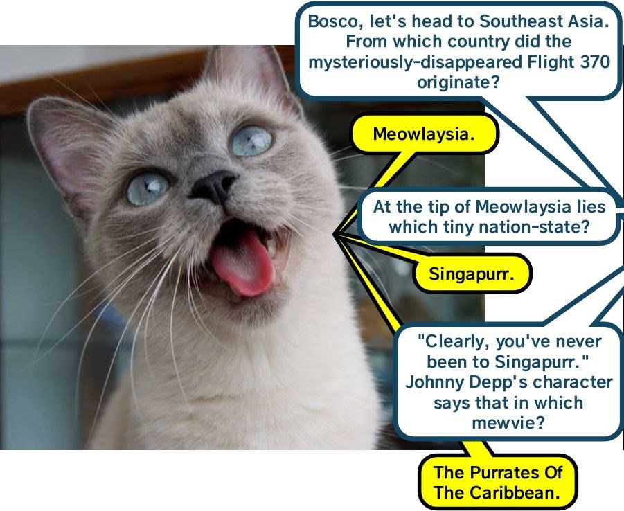 Bosco's Asian chain - Lolcats - lol | cat memes | funny cats | funny ...