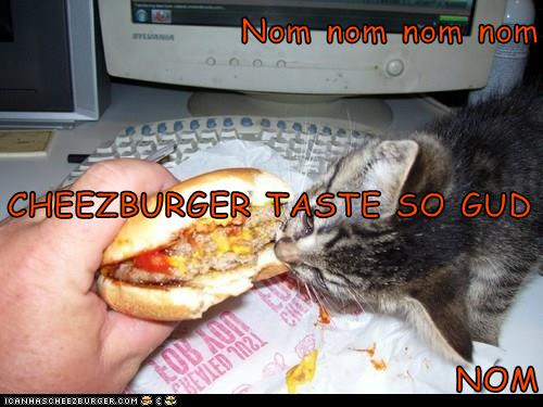 he CAN haz cheezburger - Lolcats - lol | cat memes | funny cats | funny ...
