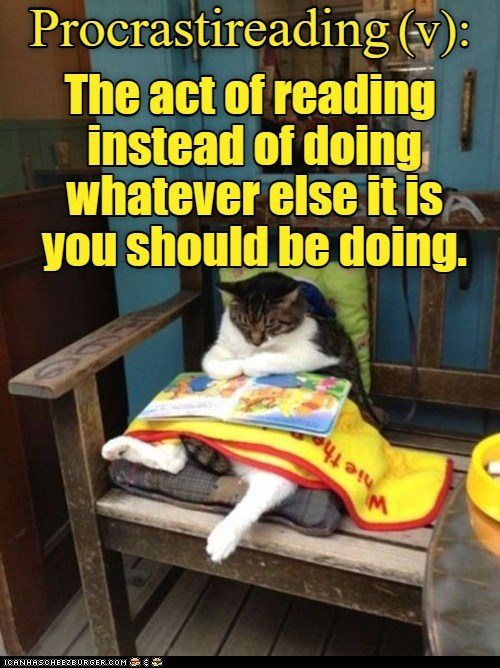 Daffynition: Procrastireading - Lolcats - lol | cat memes | funny cats ...