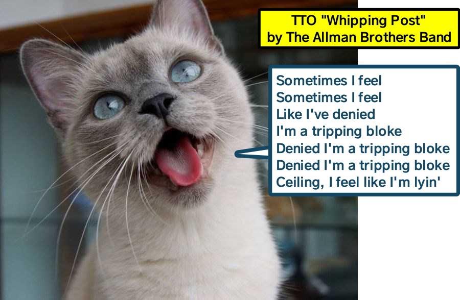 TTO "Whipping Post" by The Allman Brothers Band - Lolcats - lol | cat ...