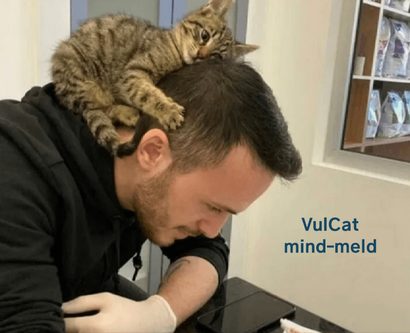 Purrly beneficial - Lolcats - lol | cat memes | funny cats | funny cat ...