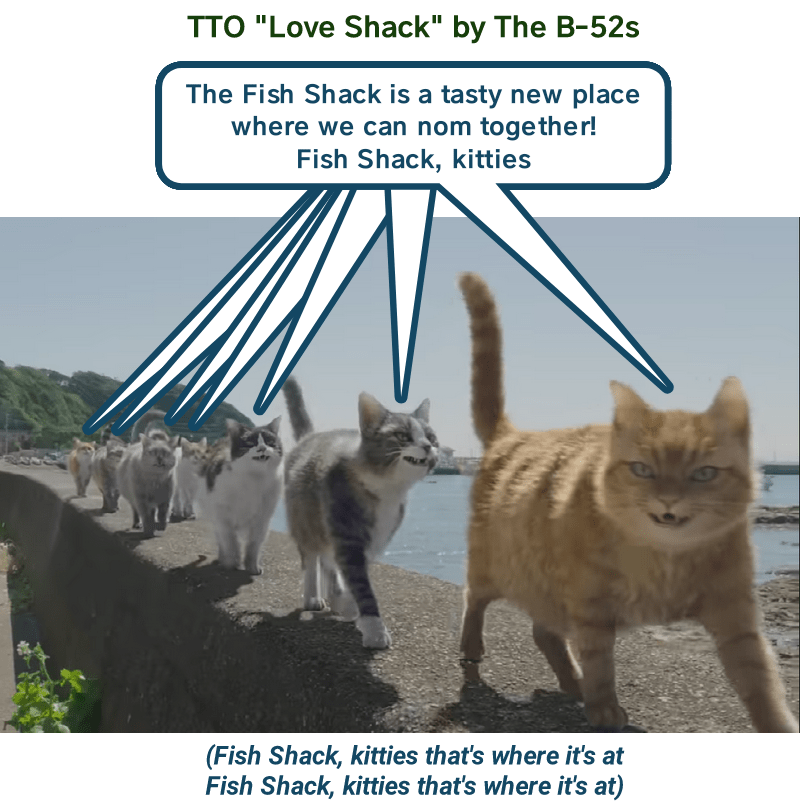 TTO "Love Shack" by The B-52s - Lolcats - lol | cat memes | funny cats ...
