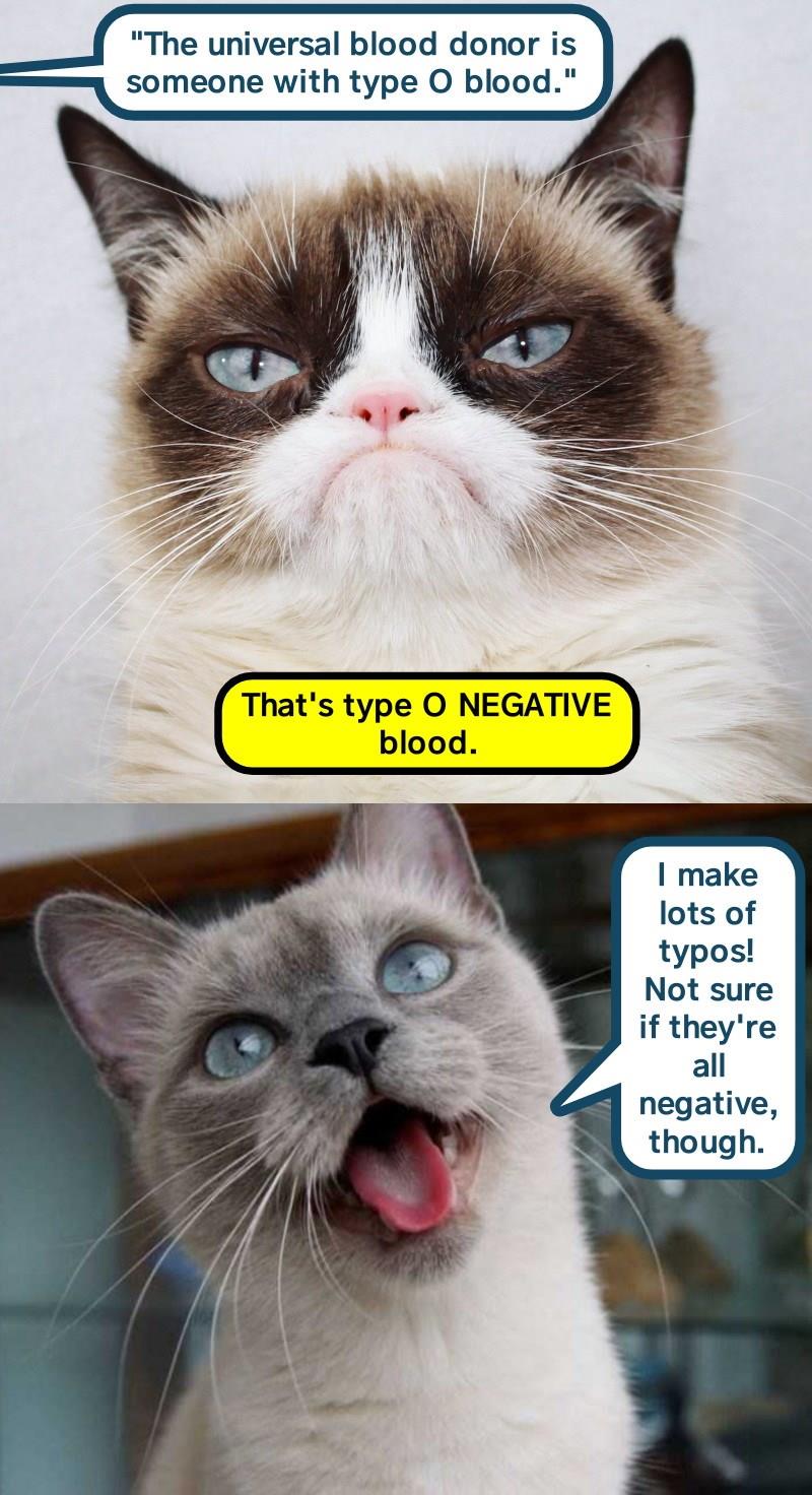 Bosco can has universal donor status? - Lolcats - lol | cat memes ...