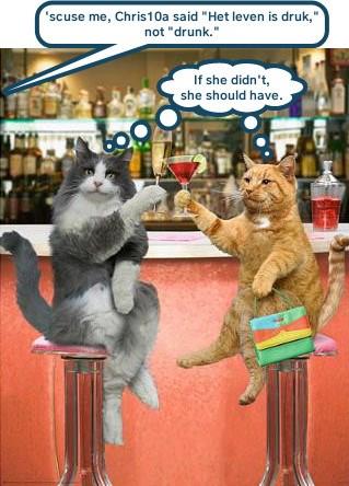 Sloshed in translation - Lolcats - lol | cat memes | funny cats | funny ...