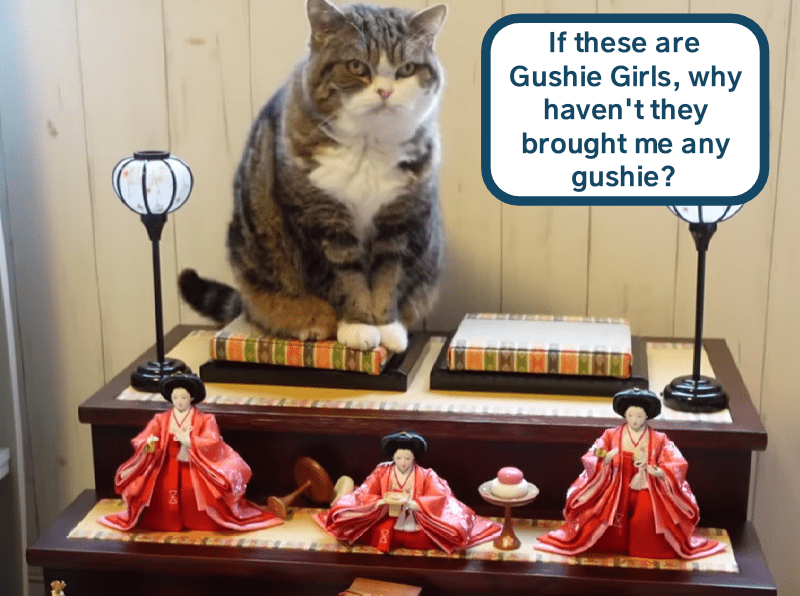 Gushie, Geisha, it's all the same - Lolcats - lol | cat memes | funny ...