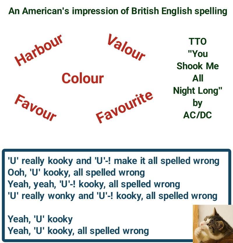 TTO "You Shook Me All Night Long" by AC/DC - Lolcats - lol | cat memes ...