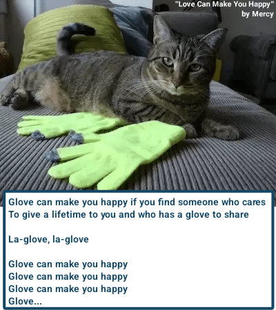 "Love Can Make You Happy" by Mercy - Lolcats - lol | cat memes | funny ...