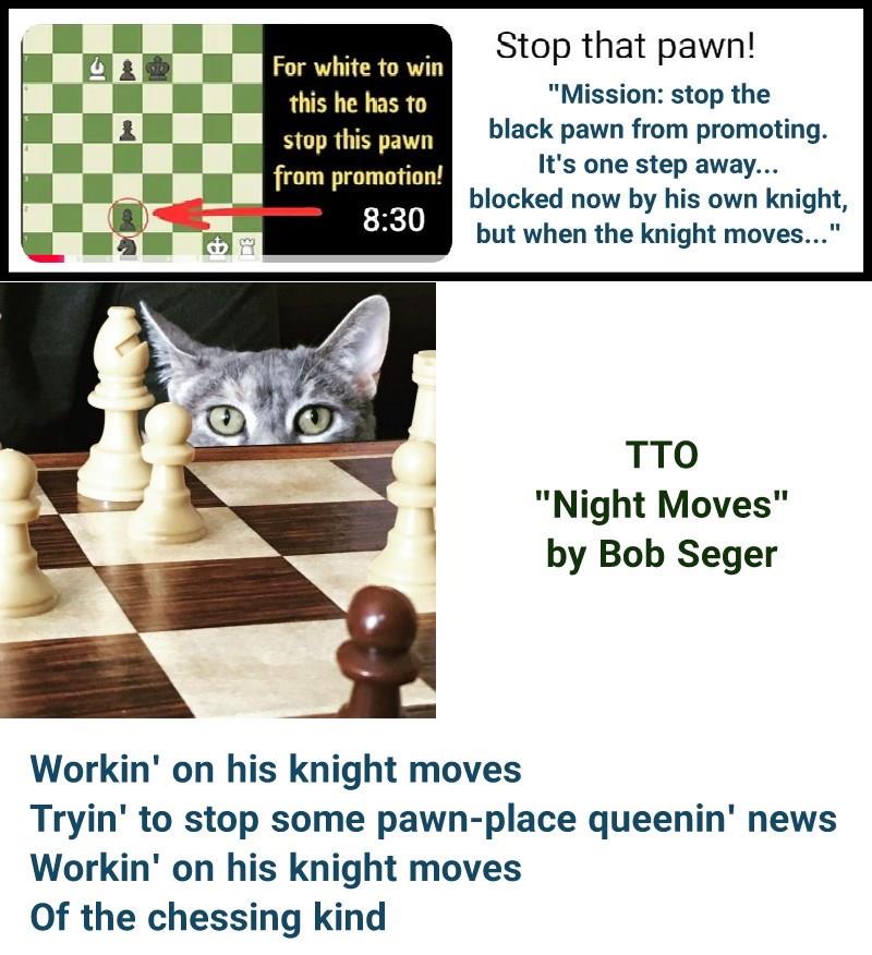 TTO "Night Moves" by Bob Seger - Lolcats - lol | cat memes | funny cats ...