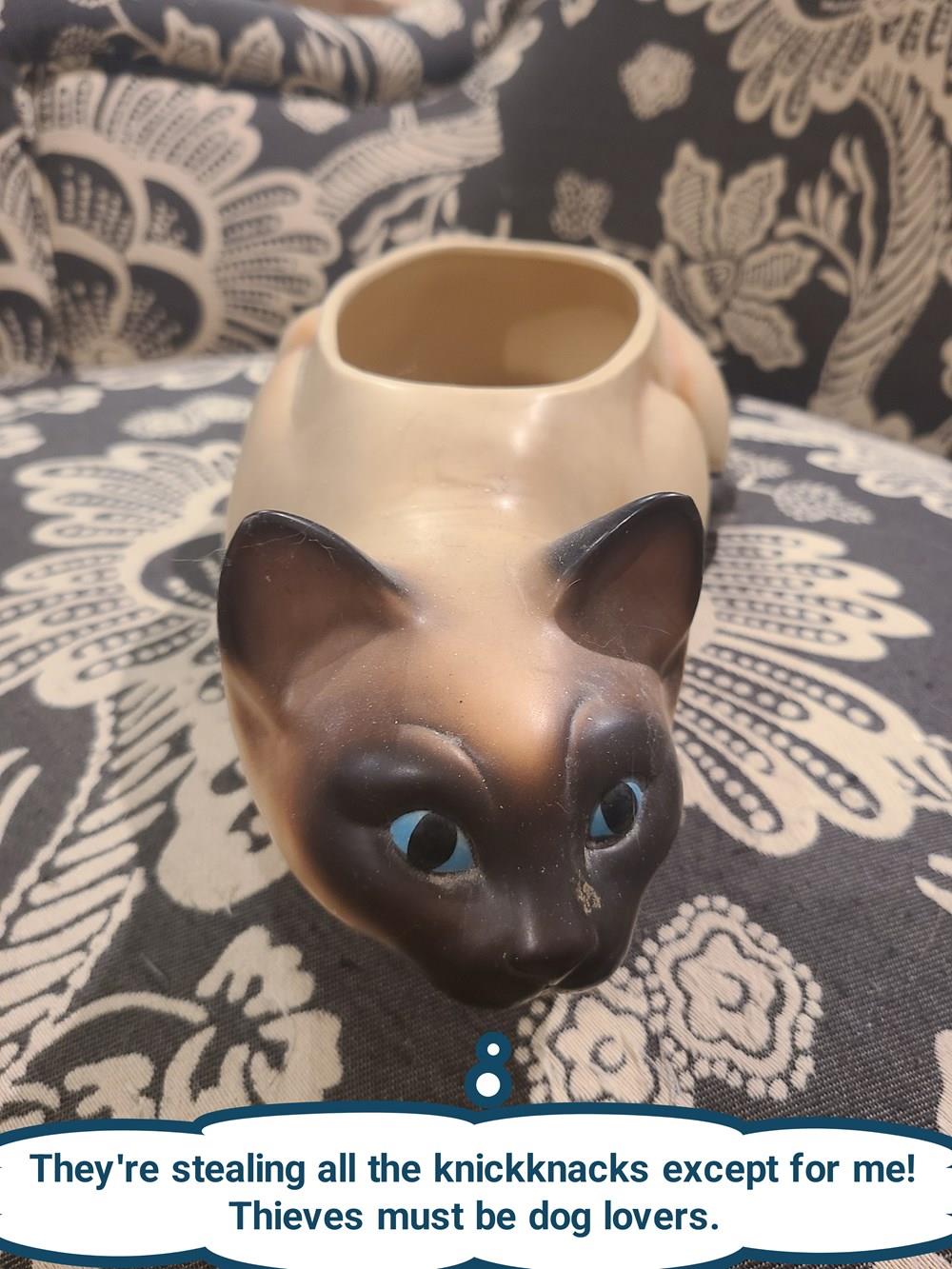 Canine caper - Lolcats - lol | cat memes | funny cats | funny cat ...