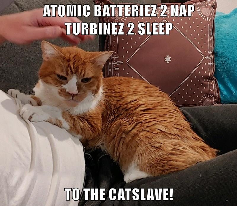 TO THE CATSLAVE! - Lolcats - lol | cat memes | funny cats | funny cat ...