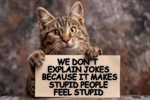 Follow me for more etiquette tips... - Lolcats - lol | cat memes ...