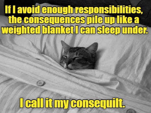 Sleep of the unconcerned - Lolcats - lol | cat memes | funny cats ...