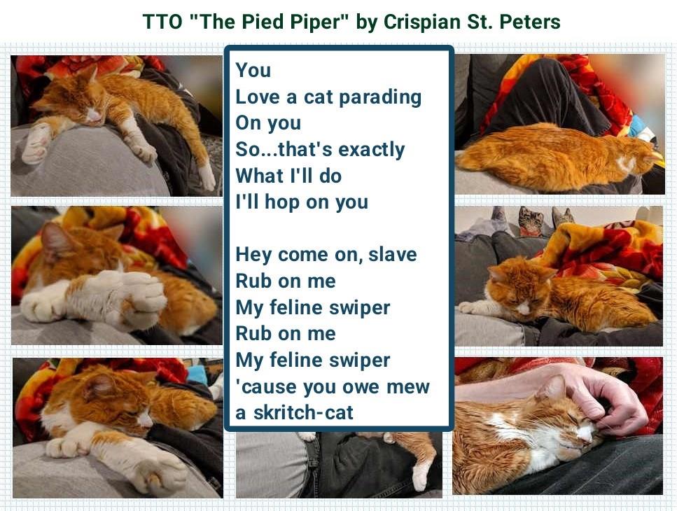 TTO "The Pied Piper" by Crispian St. Peters - Lolcats - lol | cat memes ...
