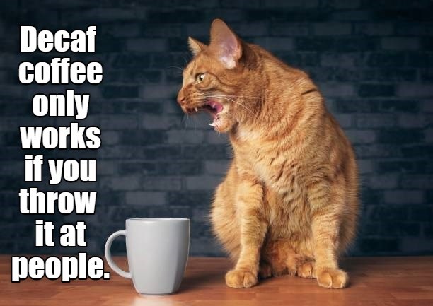 Decaf? Pffffff - Lolcats - lol | cat memes | funny cats | funny cat ...