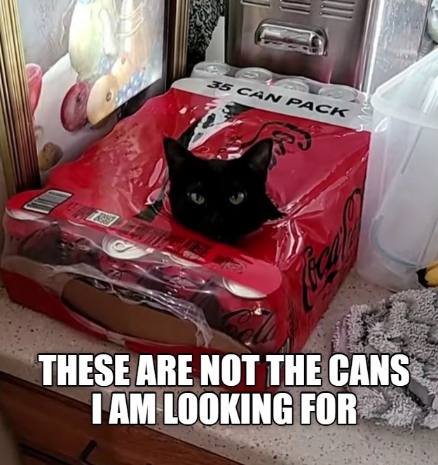 Oops - Lolcats - lol | cat memes | funny cats | funny cat pictures with ...